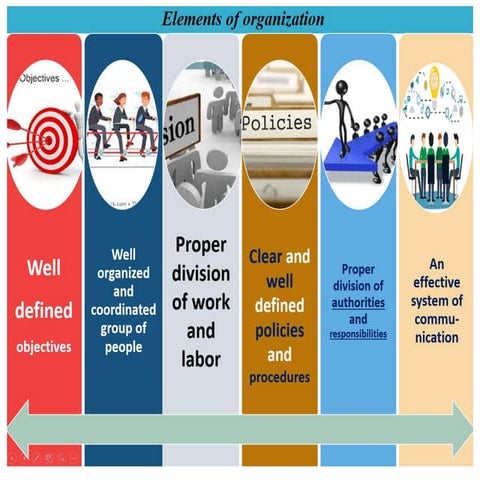 Elements of orgnization | PPT