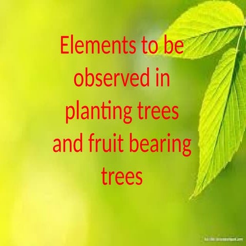 Elements to be observed in planting trees and fruit bearing trees.pptx