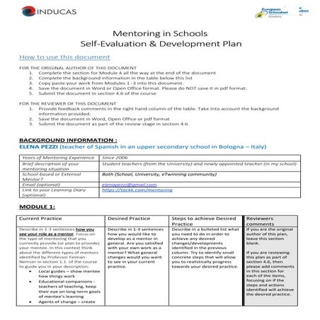 Mentoring In Schools Full Self Evaluation And Development Plan Pdf