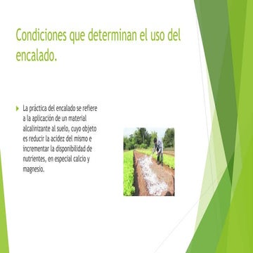 el encalado.pptx