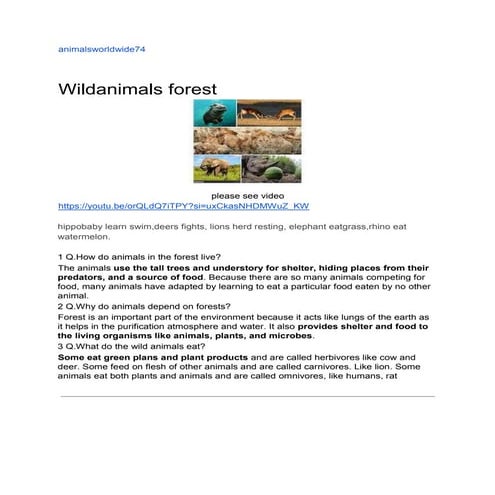 Elephant-7.docx | Zoos & Aquariums | Attractions