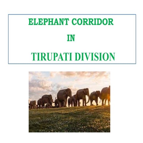 Elephant Corridor in Tirupati Division.pptx