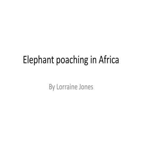 Elephant poaching power point | PPTX