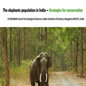 elephant population in india - strategies for conservation.pptx