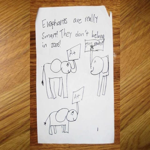 Elephant Project Book Slides | PPTX