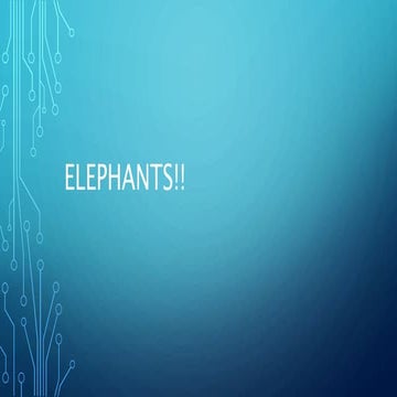 Elephants!! | PPTX