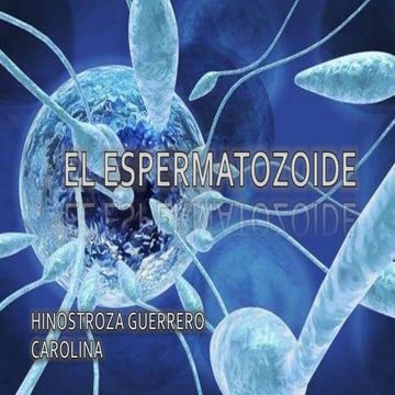 El espermatozoide | PPTX