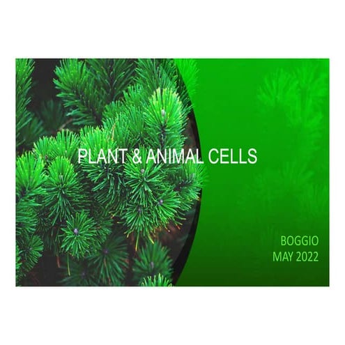Plant and Animal cells | PPT