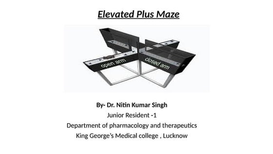 Space Recommendations for an ANimal Shelter | PPTX