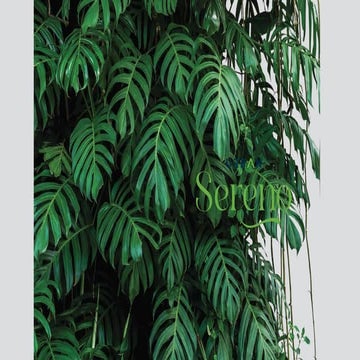 Elevate Your Lifestyle at Urban Sereno Premium Apartments in Gothapatna ...