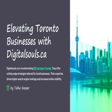 Elevating-Toronto-Businesses-with-Digitalsoulsca.pdf