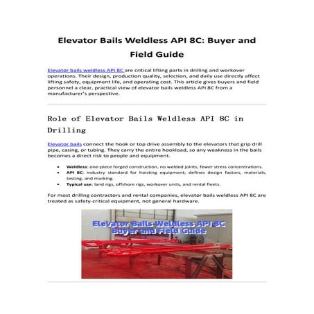 How to Customize The Type of Lifting Beam.pdf