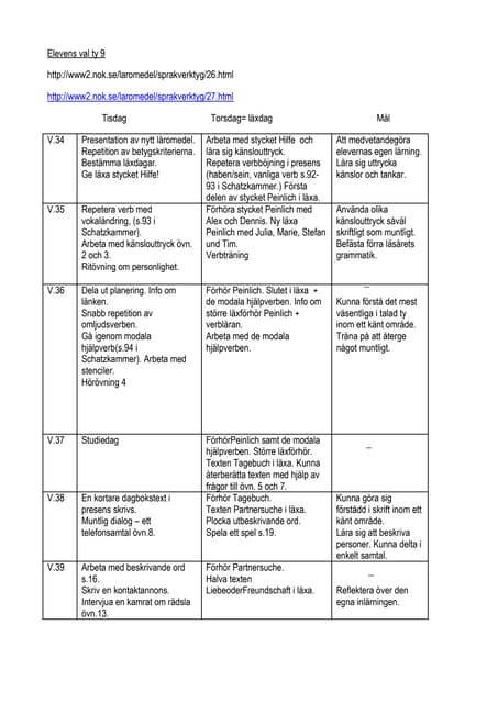 Exempel individuell studieplan | PDF