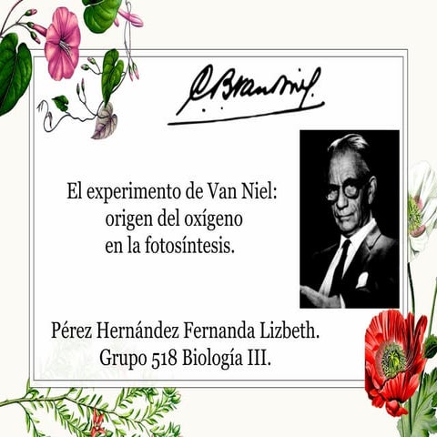 El experimento de Van Niel: origen del oxígeno en la fotosíntesis. | PPT