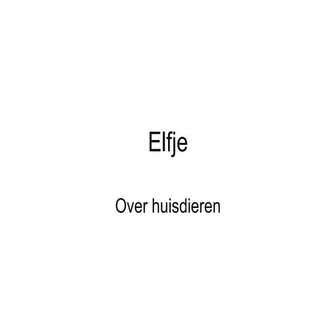 Elfje | PPT
