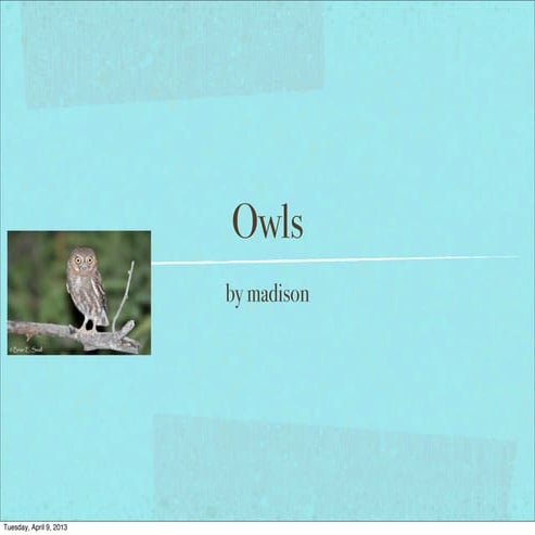 Spiders | PDF