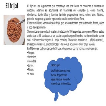El frijol | PPTX