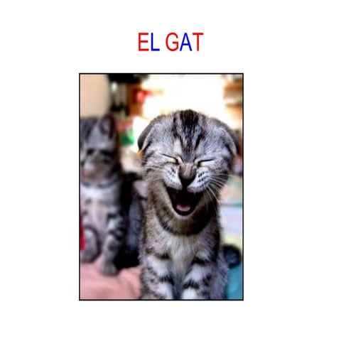 El gat (Jordi) | ODP