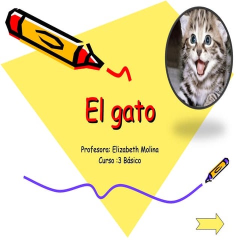 El gato | PPT