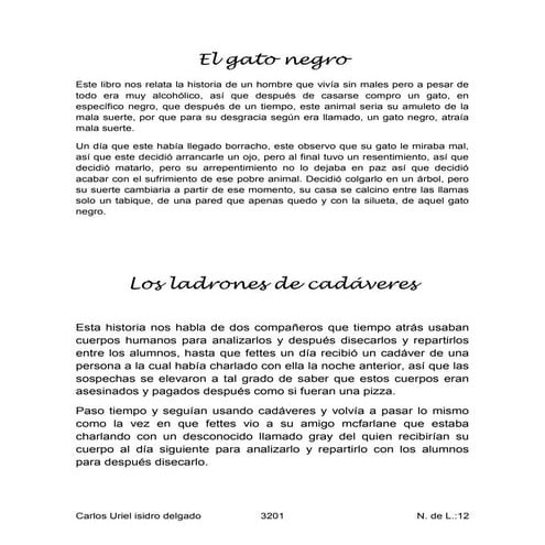 El gato negro | DOCX