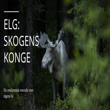 Her kommer en presentasjon om skogens konge - elgen | PPTX