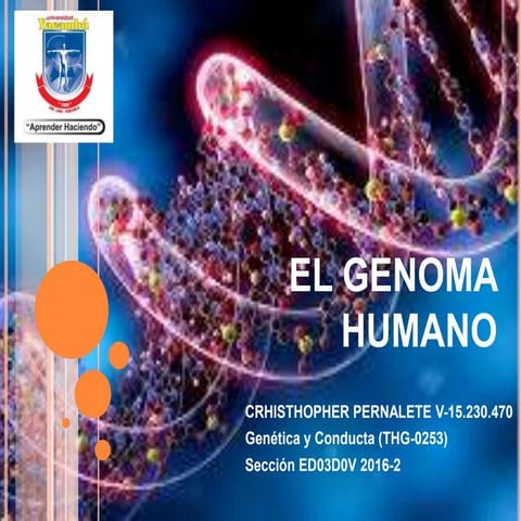 El genoma humano | PPTX