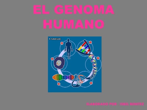 El genoma humano | PPT