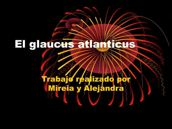 Glaucus atlanticus errol_schwake | PPT