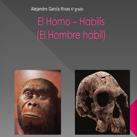 El homo habilis | PPTX