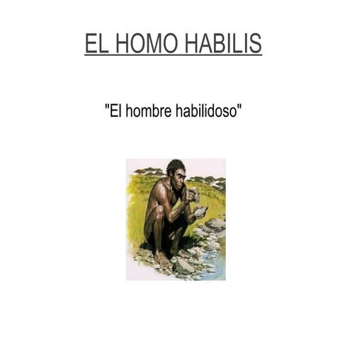 El homo habilis | PPT