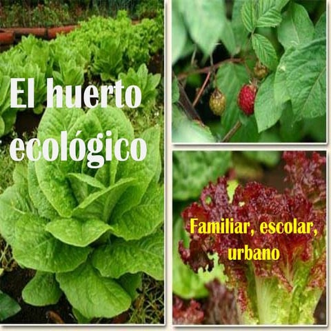 El huerto | PPTX