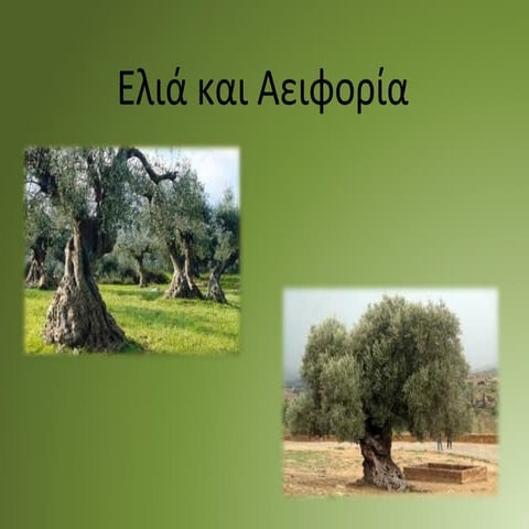 Elia | PPT