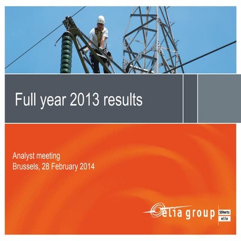 Elia group full year results 2013 | PDF