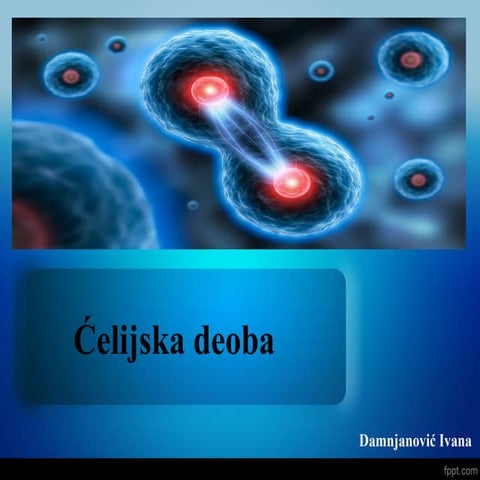 Ćelijska deoba | PPT