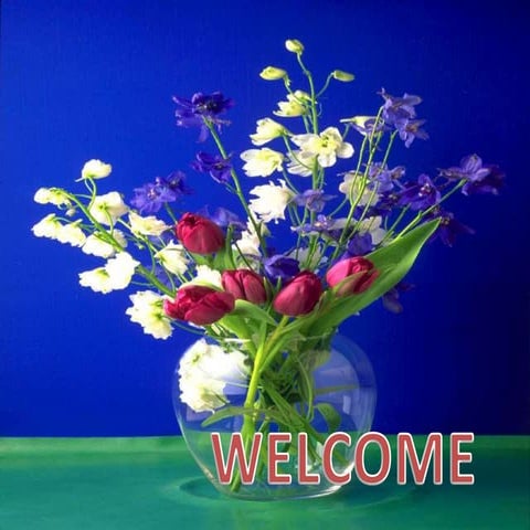 ELIMINATION SHEEJA.pptx