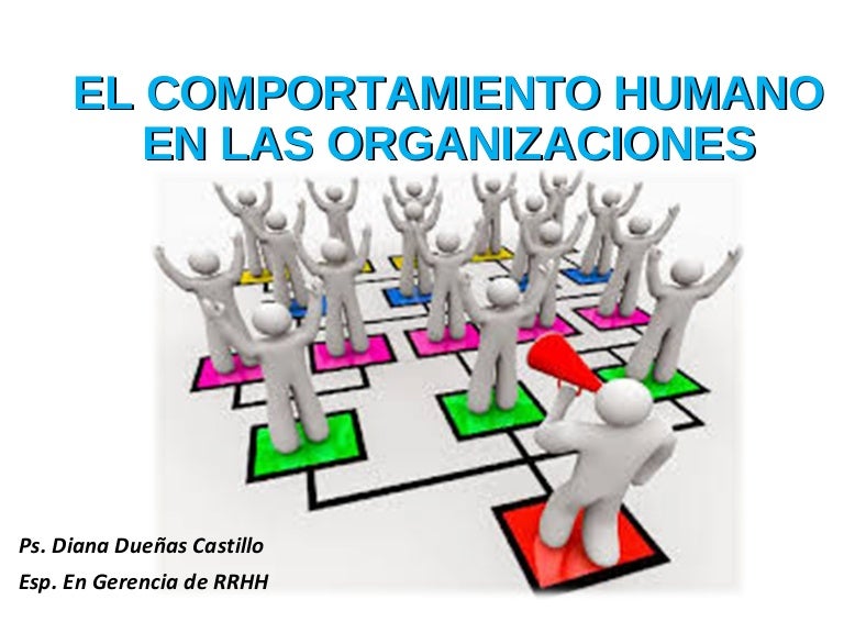 Comportamiento individual en las organizaciones