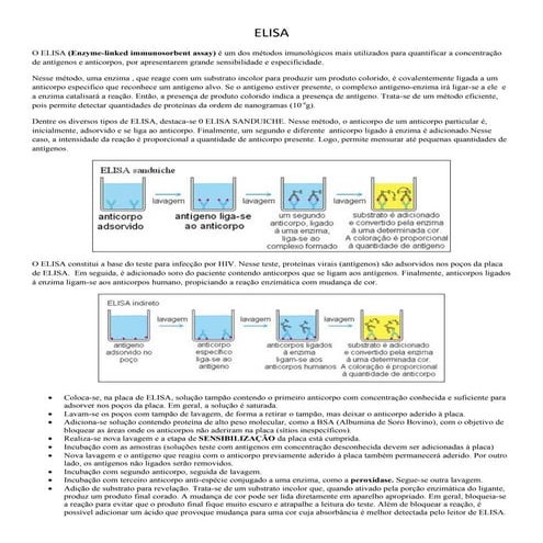 Elisa | DOC