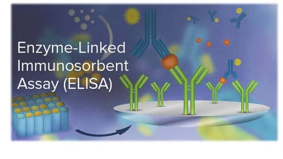 ELISA- Principle, Types and Applications.pptx