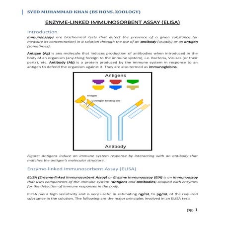 ELISA: Enzyme-linked Immunosorbent Assay | PDF