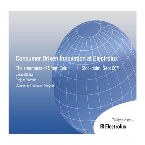 Consumer Driven Innovation at Electrolux | PDF