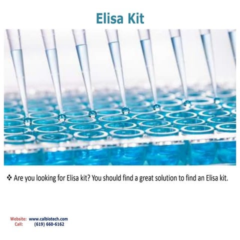 Elisa Kit | PPTX