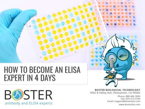 ELISA- Principle, procedure , types and applications | PPT