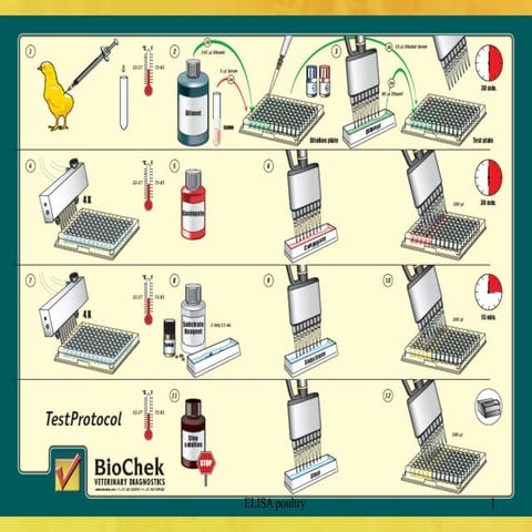 ELISA technique protocol poultry | PDF