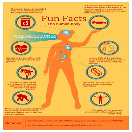 Elite Star VA Fun Facts Infographic | PDF