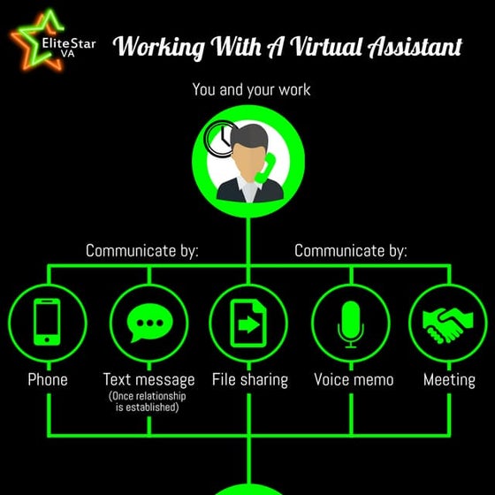 Elite Star VA Fun Facts Infographic | PDF