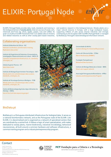 Elixir presentations