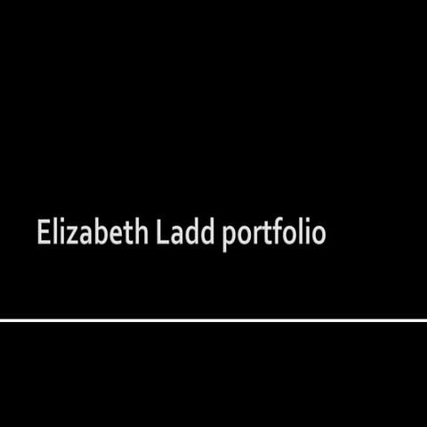 Sam S portfolio | PPT