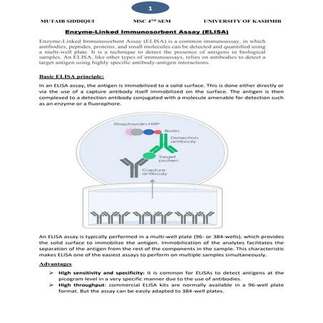 What Are The Different Types Of Elisa ELISA Kits: R&D Systems