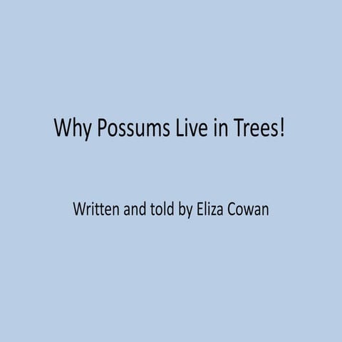 Eliza why the possums live in trees | PPT