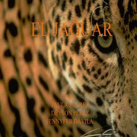 El jaguar | PPTX